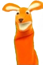 Sunny The Rabbit | Best Baby Einstein Wiki | Fandom