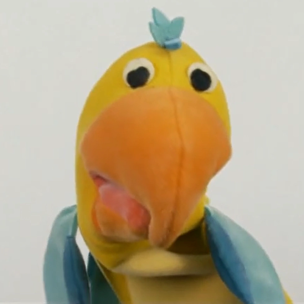 Bud The Parrot | Best Baby Einstein Wiki | Fandom