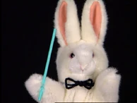Rabbit In Hat | Best Baby Einstein Wiki | Fandom