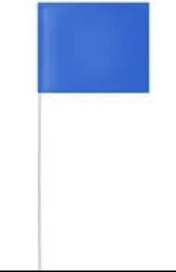 Blue Flag Prop | Best Baby Einstein Wiki | Fandom