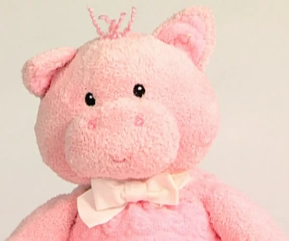 Sherbert Pig | Best Baby Einstein Wiki | Fandom