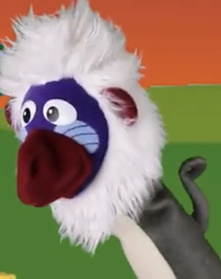 Picasso The Baboon | Best Baby Einstein Wiki | Fandom