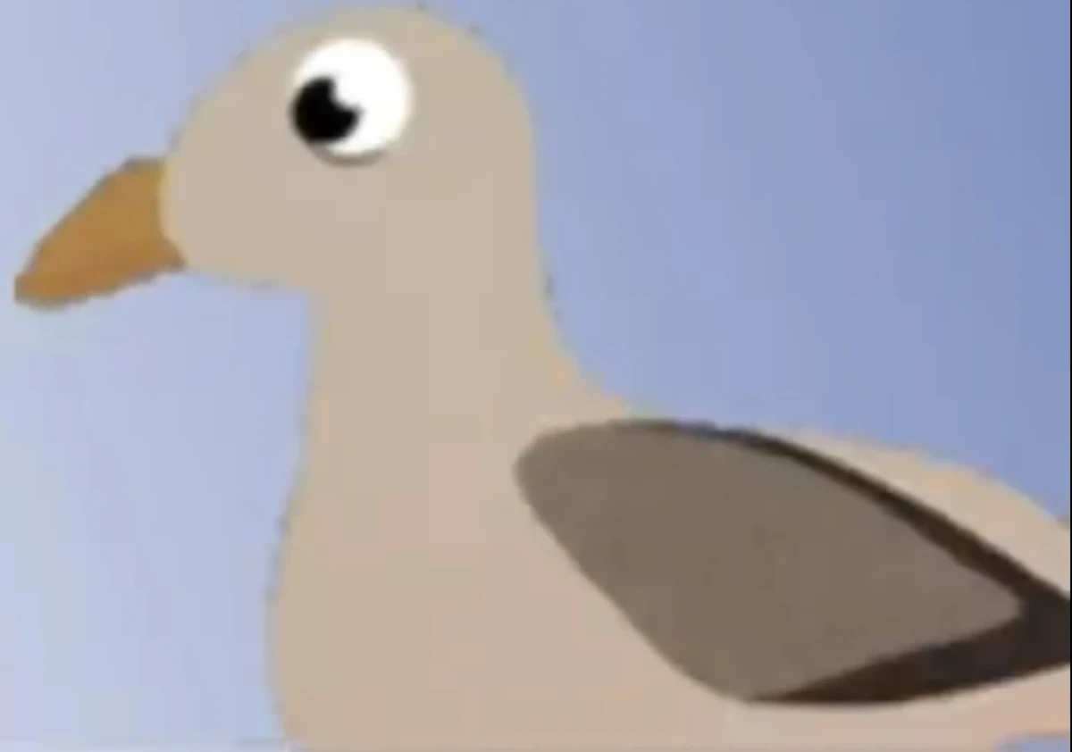 Stephen The Seagull | Best Baby Einstein Wiki | Fandom