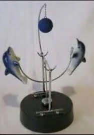 Rocking Dolphin Kinetic | Best Baby Einstein Wiki | Fandom