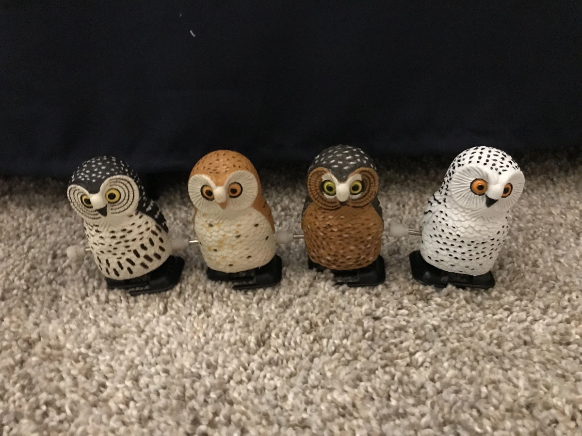 Wind-Up Walking Owls | Best Baby Einstein Wiki | Fandom