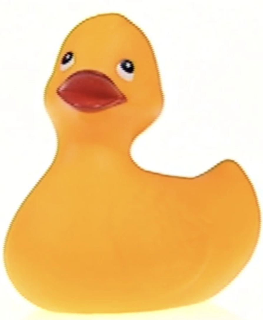 Rubber Duckie | Best Baby Einstein Wiki | Fandom