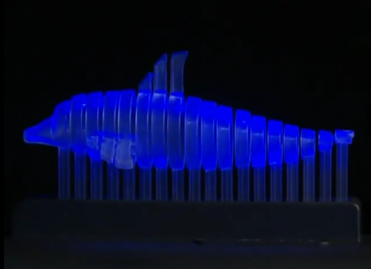 Zen Dolphin | Best Baby Einstein Wiki | Fandom