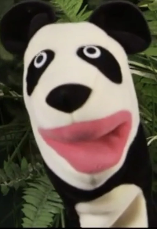 Andy the Panda | Best Baby Einstein Wiki | Fandom