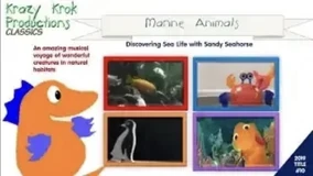 Marine Animals | Best Baby Einstein Wiki | Fandom