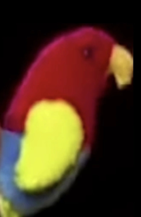 Parrot Plush | Best Baby Einstein Wiki | Fandom