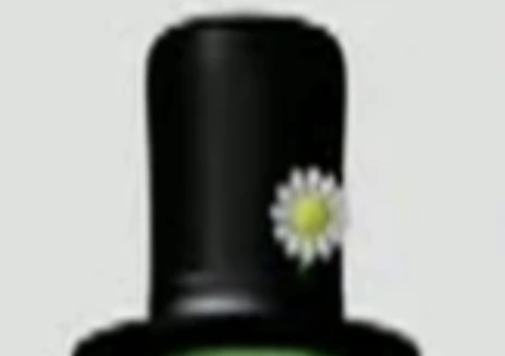 CGI Top Hat | Best Baby Einstein Wiki | Fandom