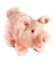 Pudgey Pig | Best Baby Einstein Wiki | Fandom