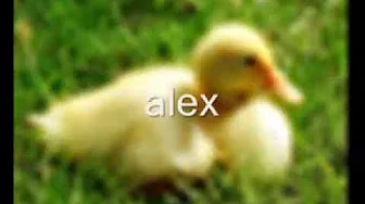 Alex (video) | Best Comic Ever Wiki | Fandom
