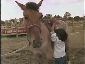 SS Episode 3087 | BestOfMikeyMini Wiki | Fandom