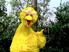 SS Episode 3266 | BestOfSesame Wikia | Fandom