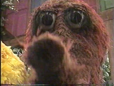 SS Episode 3656 | BestOfSesame Wikia | Fandom