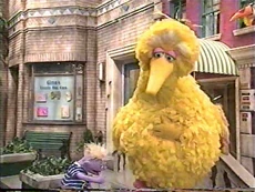 SS Episode 3656 | BestOfSesame Wikia | Fandom