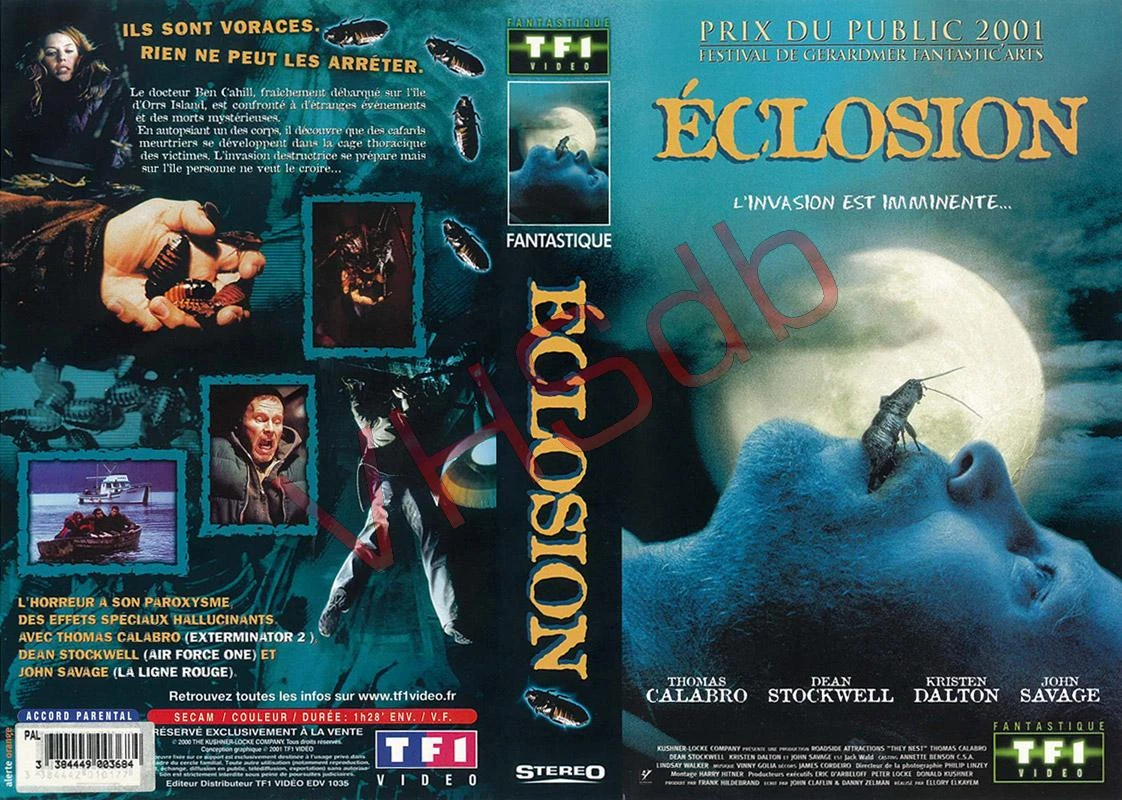TF1 Vidéo (France) - Éclosion (2001) (Vente) | Wiki VHS | Fandom