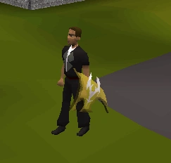 Arcane Spirit Shield | Bethlehem317 Wiki | Fandom