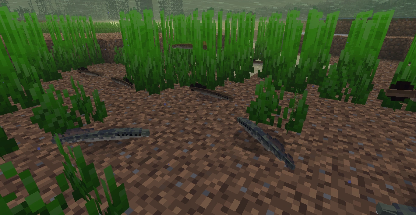 Lamprey | Better Animals Plus Wiki | Fandom