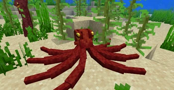 Octopus | Better Animals Plus Wiki | Fandom