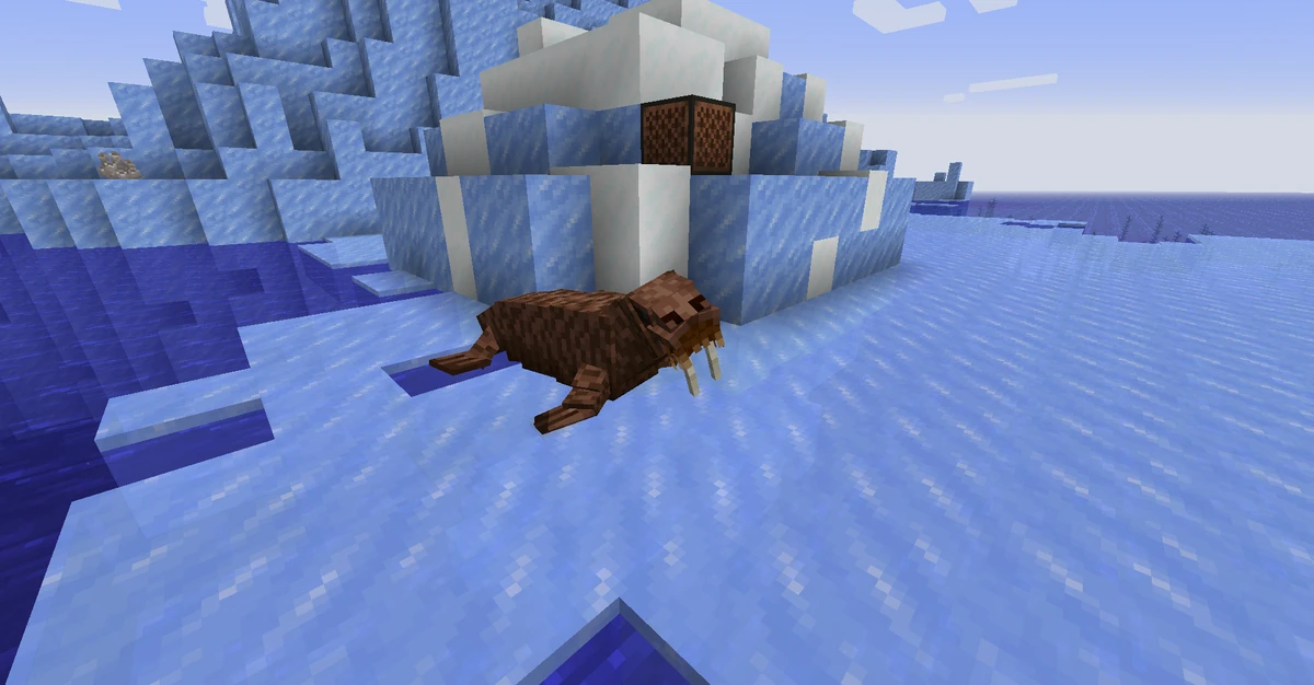 Walrus | Better Animals Plus Wiki | Fandom