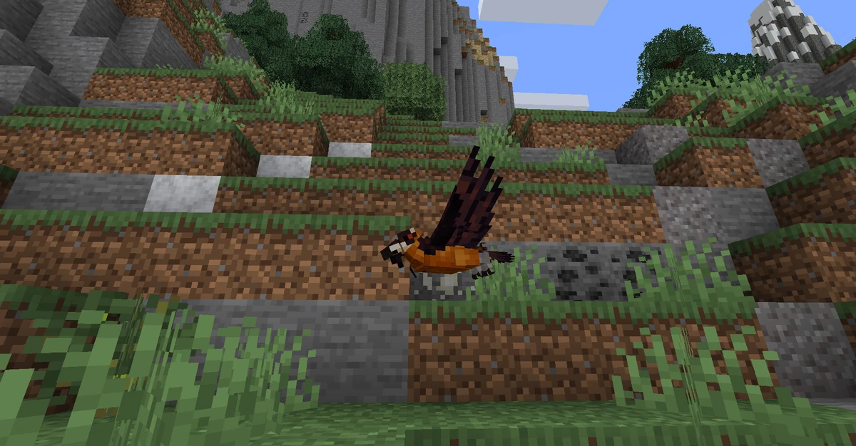 Lammergeier | Better Animals Plus Wiki | Fandom