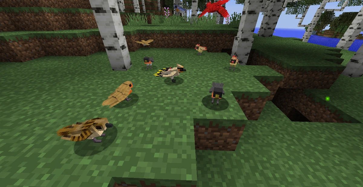 Songbird | Better Animals Plus Wiki | Fandom