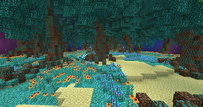 Biomes | Better End mod Wiki | Fandom