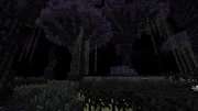 Biomes | Better End mod Wiki | Fandom
