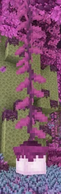 Blossoming Spires | Better End mod Wiki | Fandom
