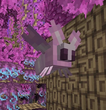 Silk Moth | Better End mod Wiki | Fandom