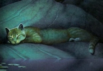 how to draw leafpool