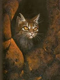 Tigerstar I | Abetterwarriorcatswiki Wiki | Fandom