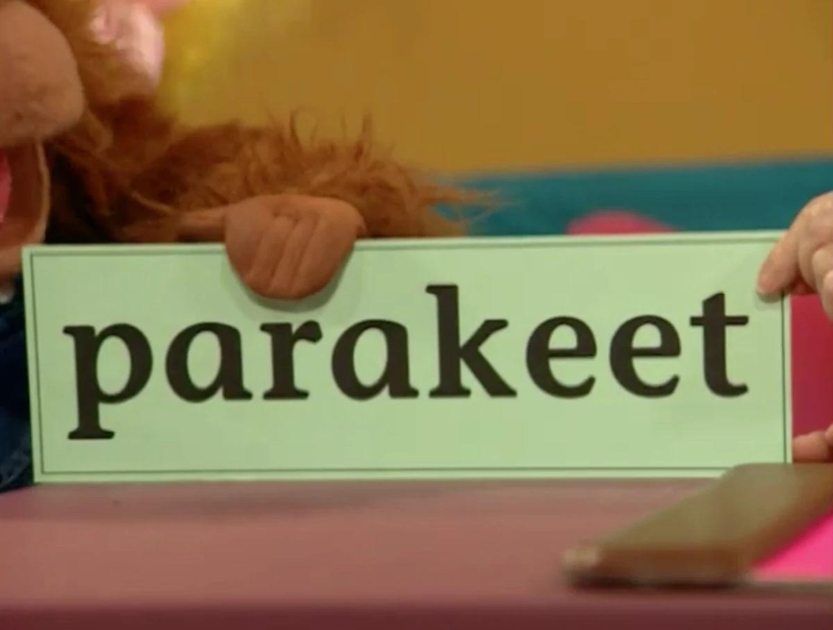 Parakeet | Between the Lions Wiki | Fandom