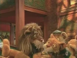 Lion Feet/Legs | Between the Lions Wiki | Fandom