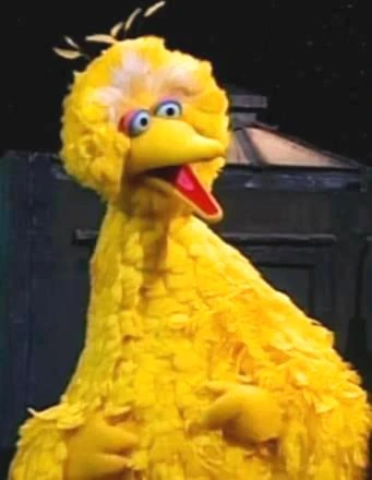 Big Bird | Between the Lions Wiki | Fandom