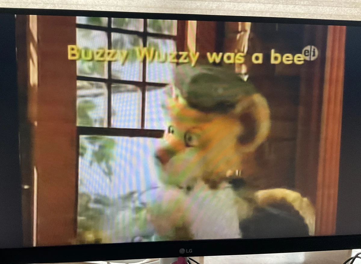 Buzzy Wuzzy Bee Between The Lions Wiki Fandom