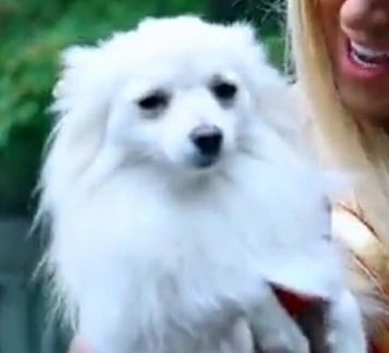 Bella | Beverly Valley High Wiki | Fandom