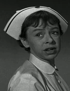 Mary Grace Canfield/Image gallery | Beverly Hillbillies Wiki | Fandom