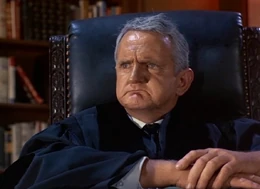 Judge Bean | Bewitched Wiki | Fandom