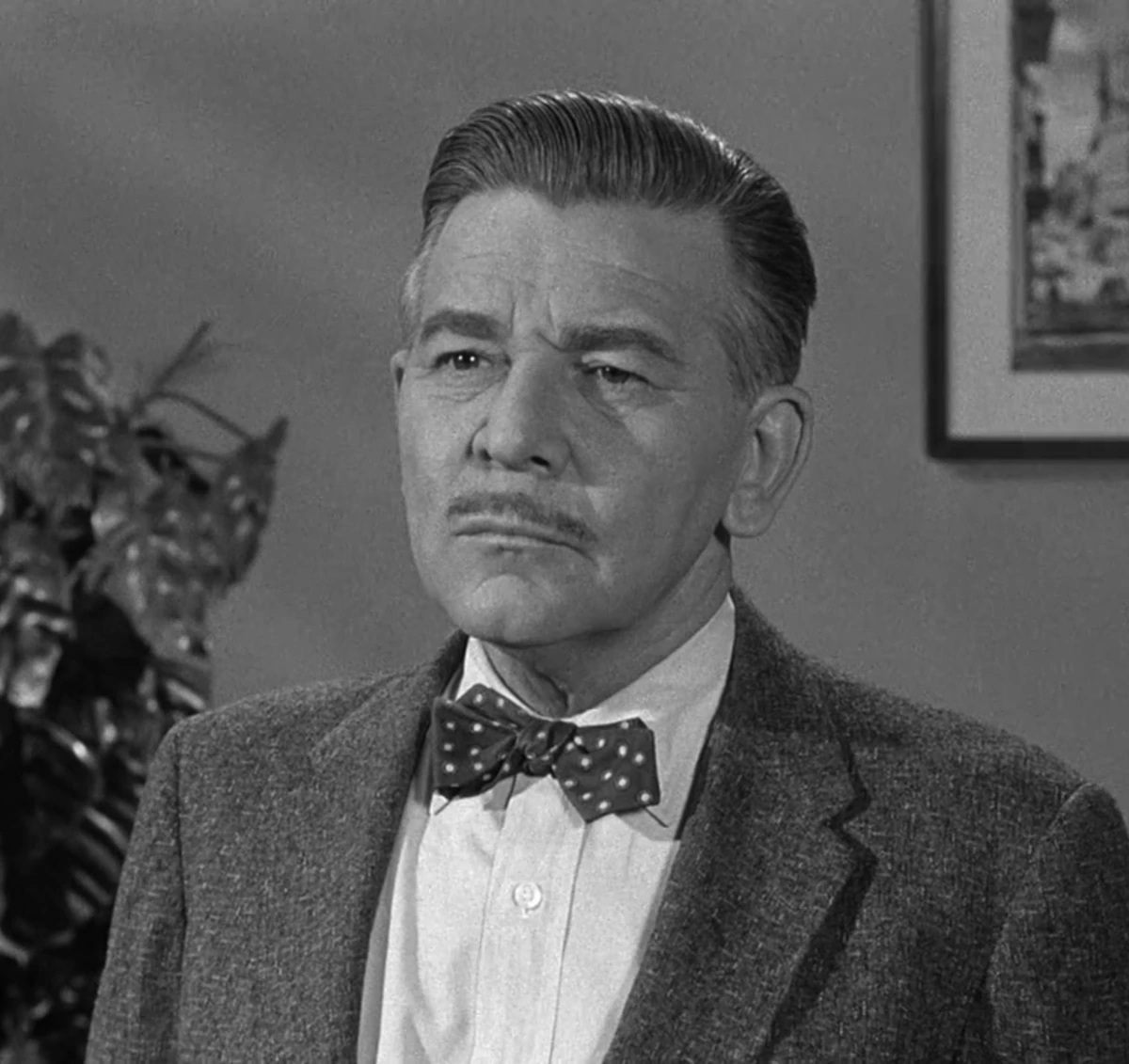 Warren Parker | Bewitched Wiki | Fandom