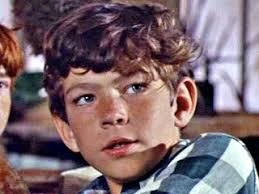 Joel Davison | Bewitched Wiki | Fandom