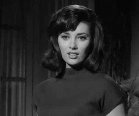 Beverly Adams Bewitched