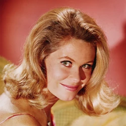 Hardie Albright On Bewitched