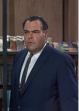 Roy Chappell | Bewitched Wiki | Fandom