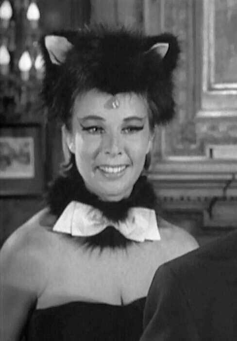 Kitty Girl | Bewitched Wiki | Fandom