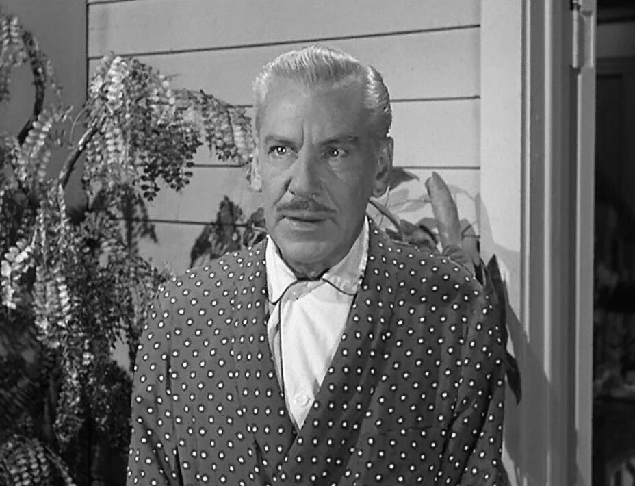 Mr. Norton | Bewitched Wiki | Fandom