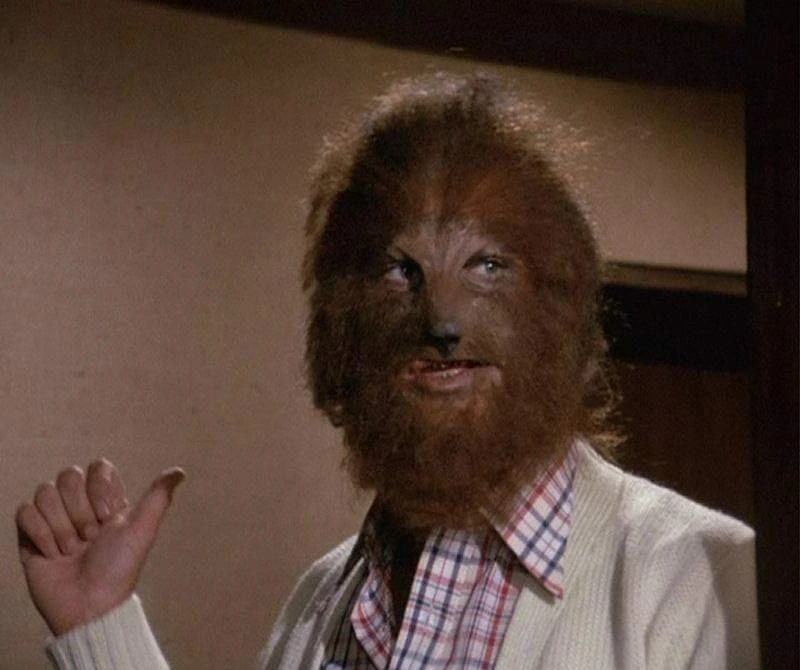 Halloween Show | Bewitched Wiki | Fandom