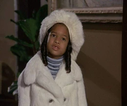 Paula | Bewitched Wiki | Fandom